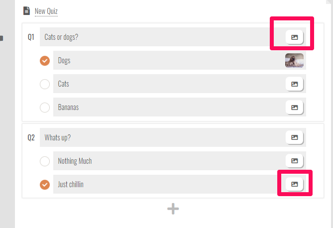 How to add images to quizzes